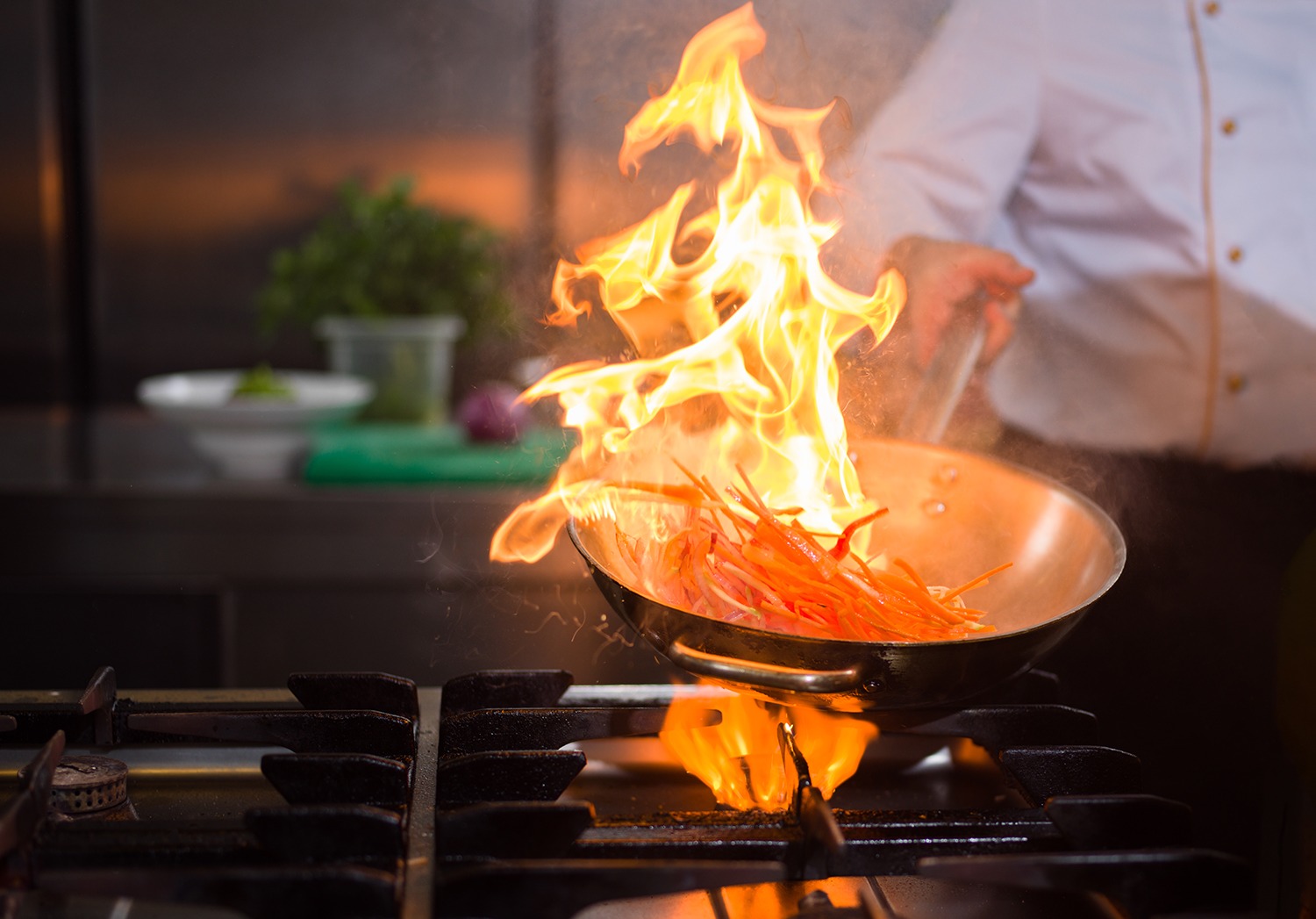 Lead Fluid Peristaltic Pump Enhances The Reshaping of Culinary Art in ...